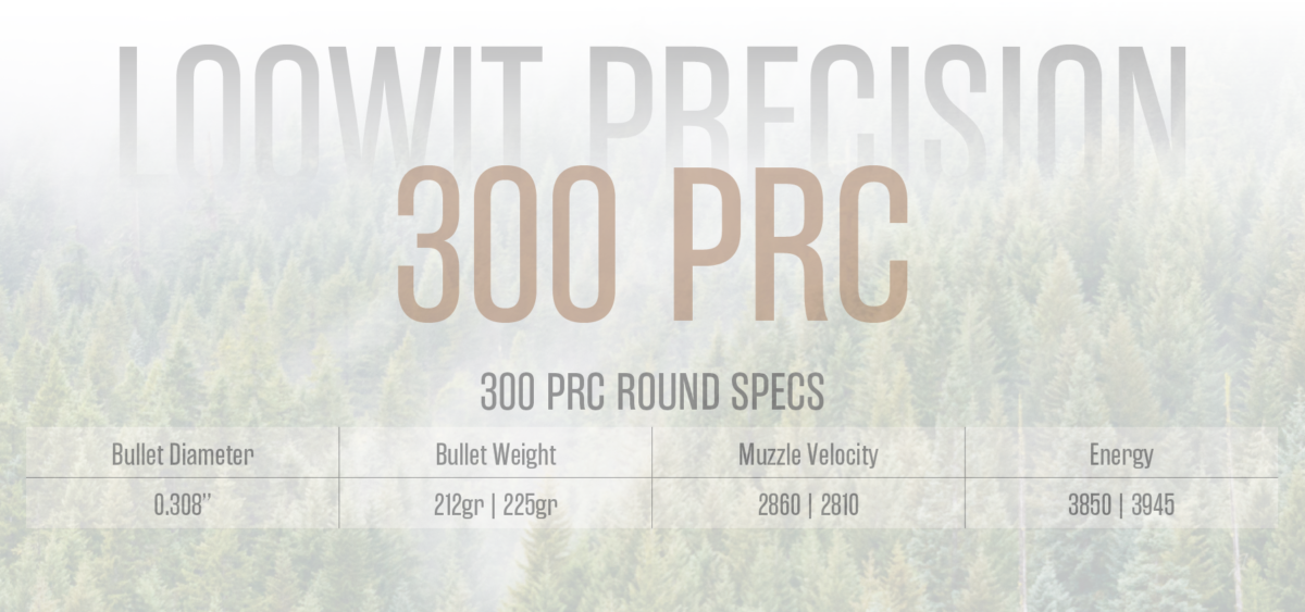 Mt Rainier - Loowit Precision