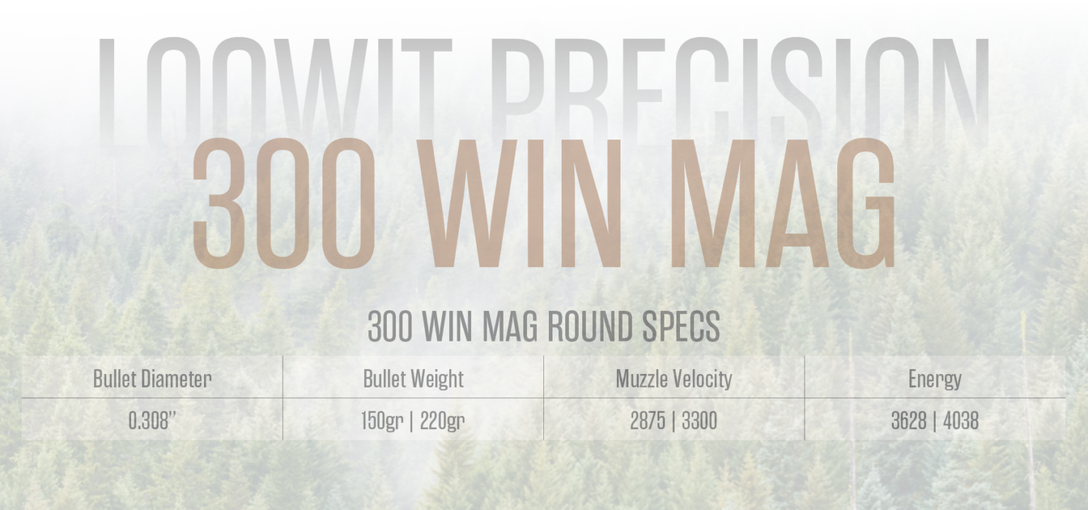 Mt Adams - Loowit Precision