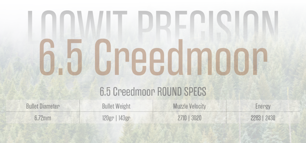 Mt Adams - Loowit Precision